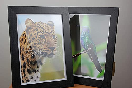 PPD Inkjet Glossy Photo Paper LTR 8.5x11" 49lbs 180gsm 9.9mil x 50 Sheets (PPD024-50)