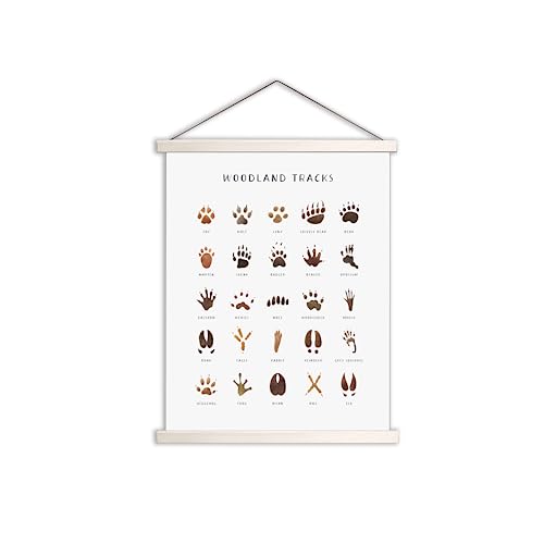 Woodland Tracks Hanging Poster, Canvas Artwork Woodland Nursery Decor 16x20 Inch, Animal Tracks Field Guide Sign, Forest Nursery Decor, Boy Nursery Wall Decor, Jungle Nursery Decor For Kids