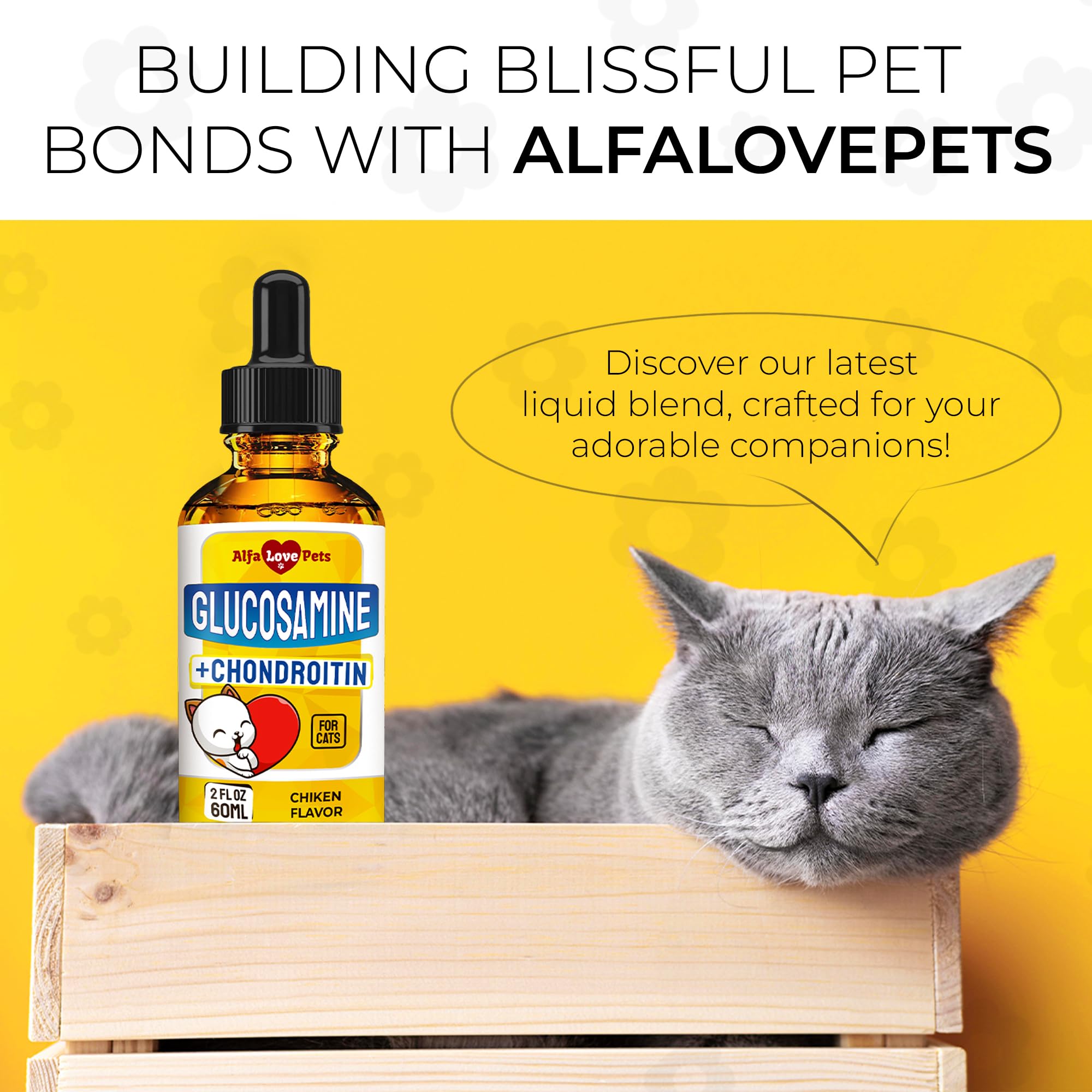 Cat Joint Supplement ✿ Cat Glucosamine ✿ Glucosamine for Cats ✿ Glucosamine Chondroitin for Cats ✿ Glucosamine for Cats Liquid ✿ Joint Supplement for Cats ✿ Chicken Flavor ✿ 2 Pack