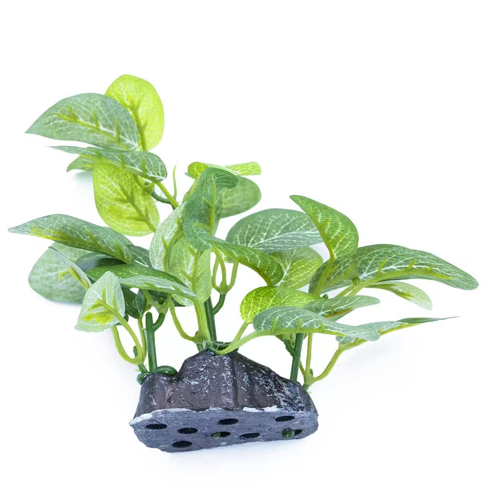 MRTIOO Reptile Artificial Plants, Terrarium Plants Decorations Supplies, Amphibian Habitat Hideout Tank Accessories, Rainforest Ground Plant (H)