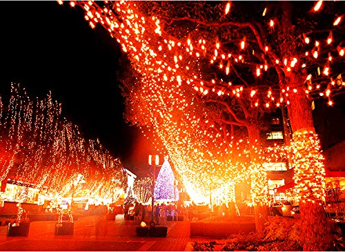 Orange String Lights, 164FT/50M 300 LED Orange Lights,8Modes,LDTX UL Certified Fairy Ambiance Lighting for Wedding,Party,Garden,Patio,Yard,Home,Parties, Halloween