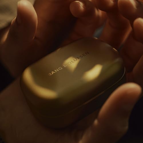Bang & Olufsen Beoplay EX - Wireless Bluetooth Earphones with Microphone and Active Noise Cancelling, waterproof, 20 hours of Playtime