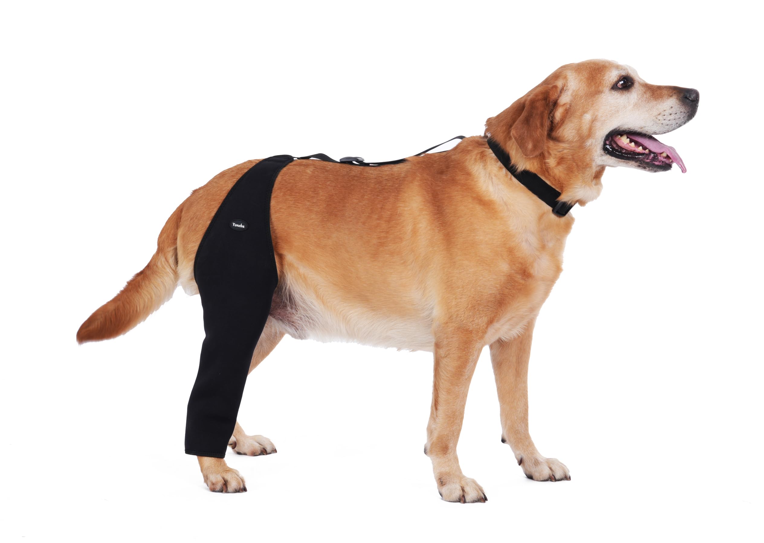 Dog Recovery Sleeve Back Leg Waterproof Diving Material,Dog Leg Sleeve to Stop Licking and Biting Firm and Secure, Adjustable Size, 2.5mm Thick Comfortable Alternative to Cone Collars (2XLarge)