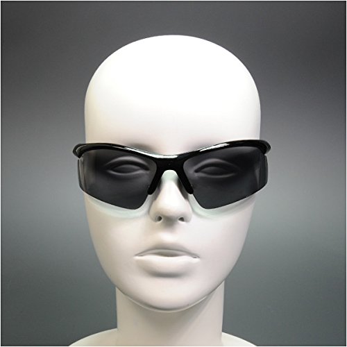Dewalt DPG51-2C Radius Smoke 10 Base Curve Lens Protective Safety Glasses,Blacks