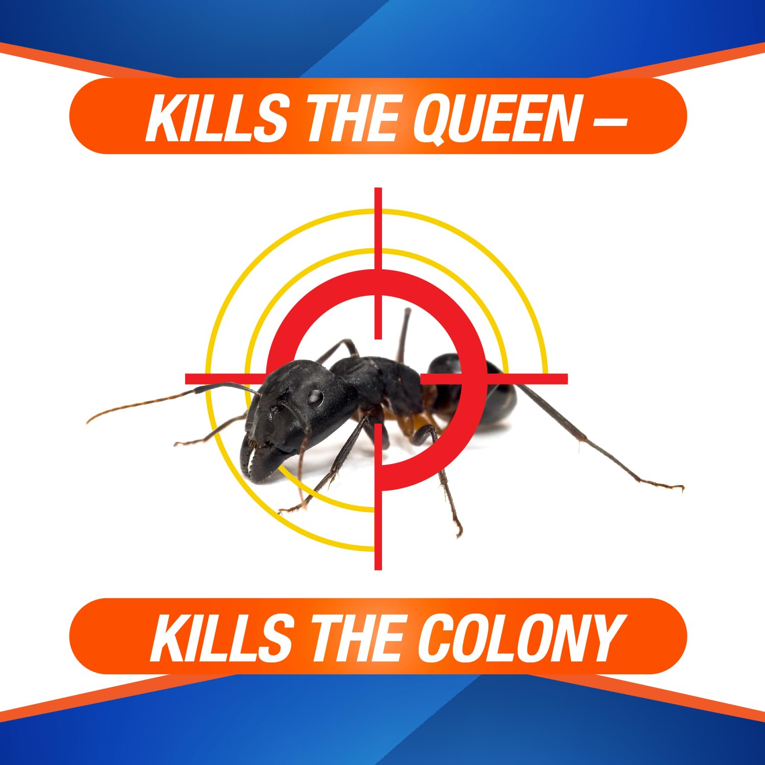 Homeplus™ Ant Killer AB, Metal Ant Bait, Ants Killer for House, Ant Traps Indoor & Outdoor, Case Pack, 48 Bait Stations