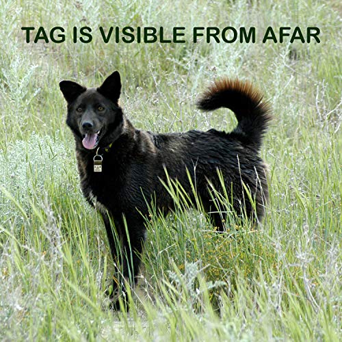 NaviTagi Pet ID Tag for Large and Extra Large Dogs. Personalized w/ID Number. Reliable Design, Stainless Steel Ring. 2 Phones Updatable Online, Name Safe (1 Tag - L)