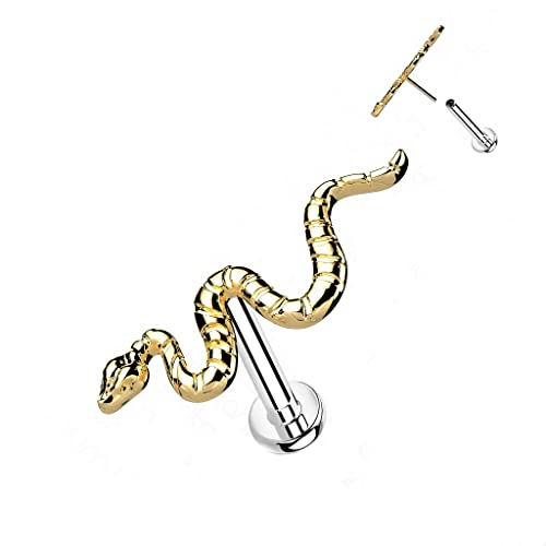 BODY DAZZ 18G-16G Snake Top Threadless Push-in G23 Titanium Labret Cartilage Ring Piercing Stud (Goldtone 16G 5/16")