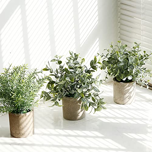 Gleenwave Artificial Plants 3 Potted Mini Fake Plants Artificial Eucalyptus Decorative Plants for Home Decor Indoor Room Table Office