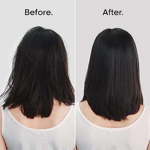 L'Oréal Professionnel Absolut Repair Shampoo | Protein Hair Treatment | Repairs Damage & Provides Shine | With Quinoa & Proteins | For Dry, Damaged Hair | 16.9 Fl. Oz.