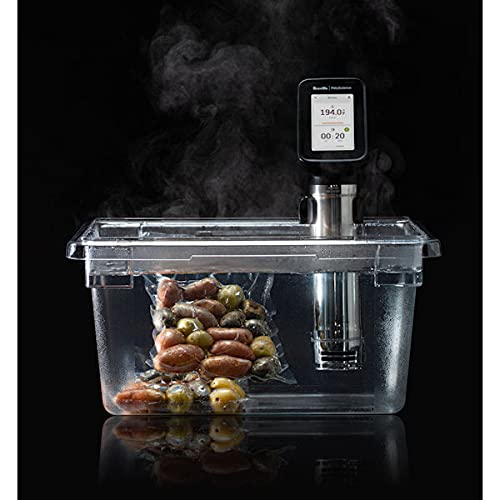 Sage Polyscience HydroPro™ Sous Vide Immersion Circulator, Stainless, 240V