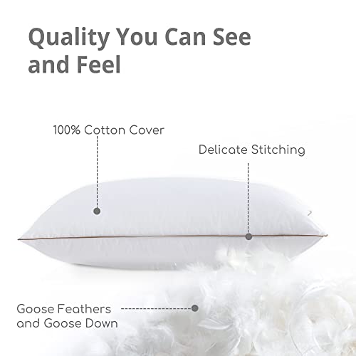 Dreamhood Standard Stomach Sleeper Feather and Down Pillows for Neck and Shoulder Pain, Made in USA, 100% Plush Cotton Cover with Brown Piped Edges, Soft and Fluffy, 20 x 26 Inches