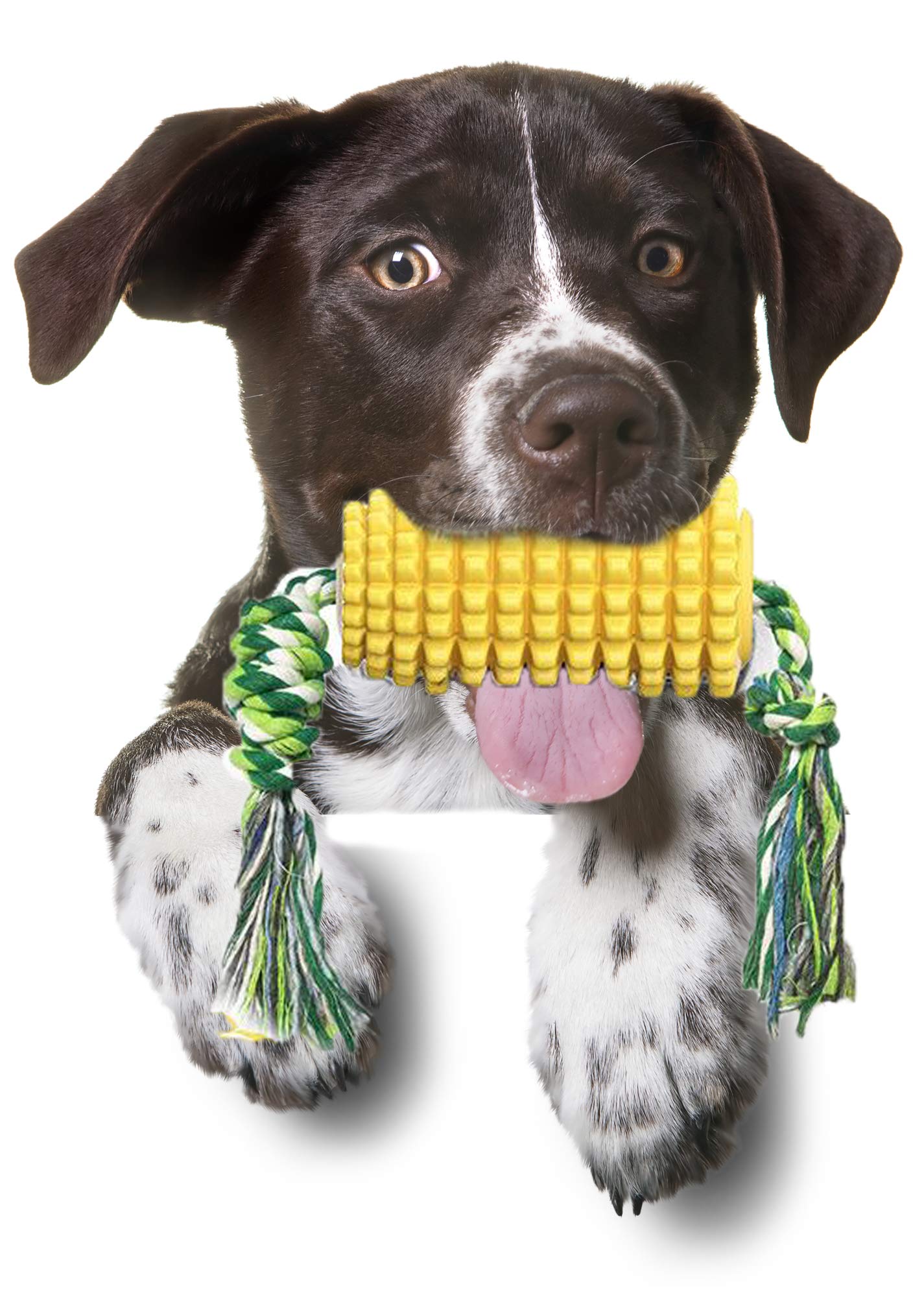 Furever Dog Chew Toys, Puppy Toothbrush Toys, Teething Cleaning Dental Rope Toys for Aggressive Chewers for Small Medium Large Dogs Breed