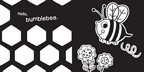 Hello, Garden Bugs: A High-Contrast Board Book that Helps Visual Development in Newborns and Babies (High-Contrast Books)