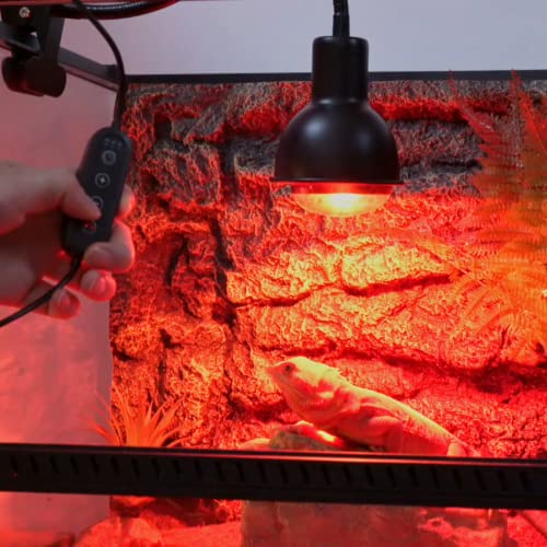 Ordekcity Reptile Heat Lamp Bulb 100W UVA Basking Spot Heat Lamp Reptile Light Tortoise Light Turtle Bulb for Animals Bearded Dragon-2 Pack