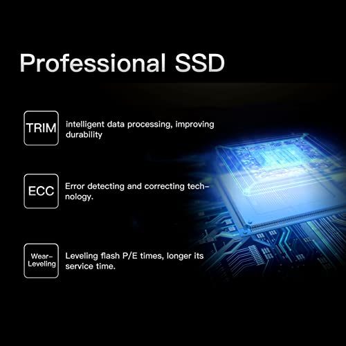 Giuioy 2.5Inch Mobile High-Speed Solid State Drive, Portable Laptop Internal Solid State Drive, for Laptop, Desktop PC, Anti-Shock and Anti-Drop