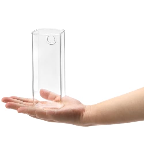 Fasmov 6 Pack Wall Hanging Glass Planters Plant Terrarium, Plants Holders Air Plants Succulents Planters Flowers Glass Wall Vase Containers for Plant, Decoration and Display, Square Vase, Clear