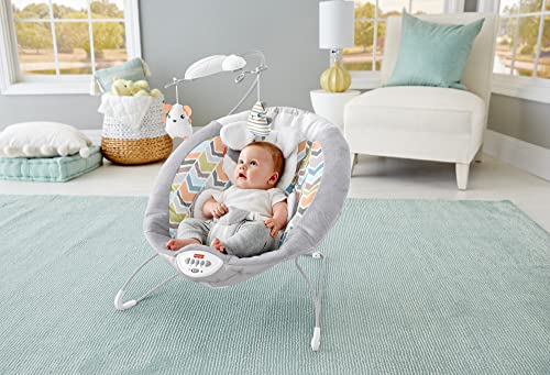 Fisher-Price Sweet Snugapuppy Deluxe Bouncer, portable bouncing baby seat with overhead mobile, music, and calming vibrations [Amazon Exclusive]
