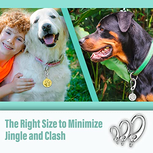 Leash King Dog Tag/Pet Tag w/Pet Tag Quick Clip Combos- 2 Pairs (4 pcs) of Standard Quick Clips - Entirely sugrical Stainless Steel