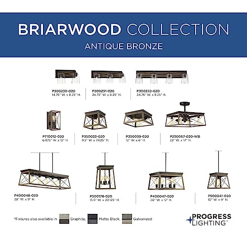 Briarwood Collection Antique Bronze Two-Light Farmhouse Flush Mount Ceiling Light