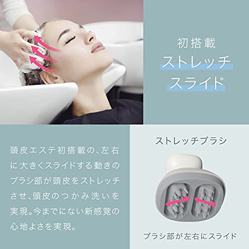 Panasonic EH-HE0G-T [Scalp Esthetic Salon Touch Type Spiral & Slide Brown Style] AC100-240V Shipped from Japan 2021 Released