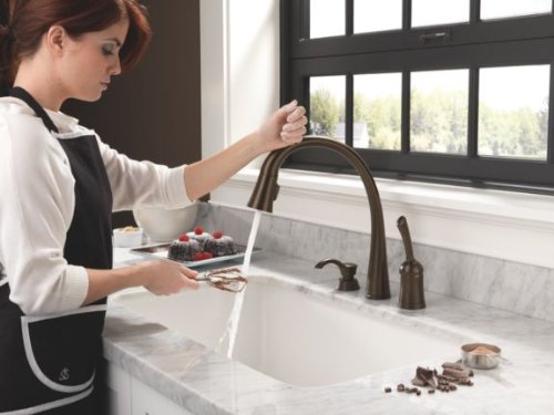 Delta Faucet Pilar Kitchen Soap Dispenser for Kitchen Sinks, Venetian Bronze RP50781RB