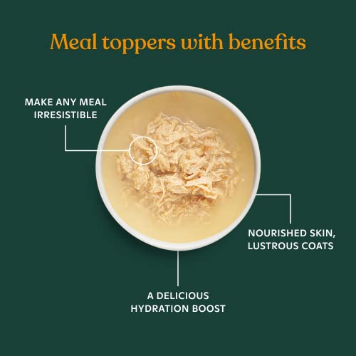 Made by Nacho Wet Cat Food Broth Meal Topper, Cage-Free Shredded Chicken in Bone Broth for Extra Hydration, Limited-Ingredient Sensitive Diet, 24 Pouches 2.5oz