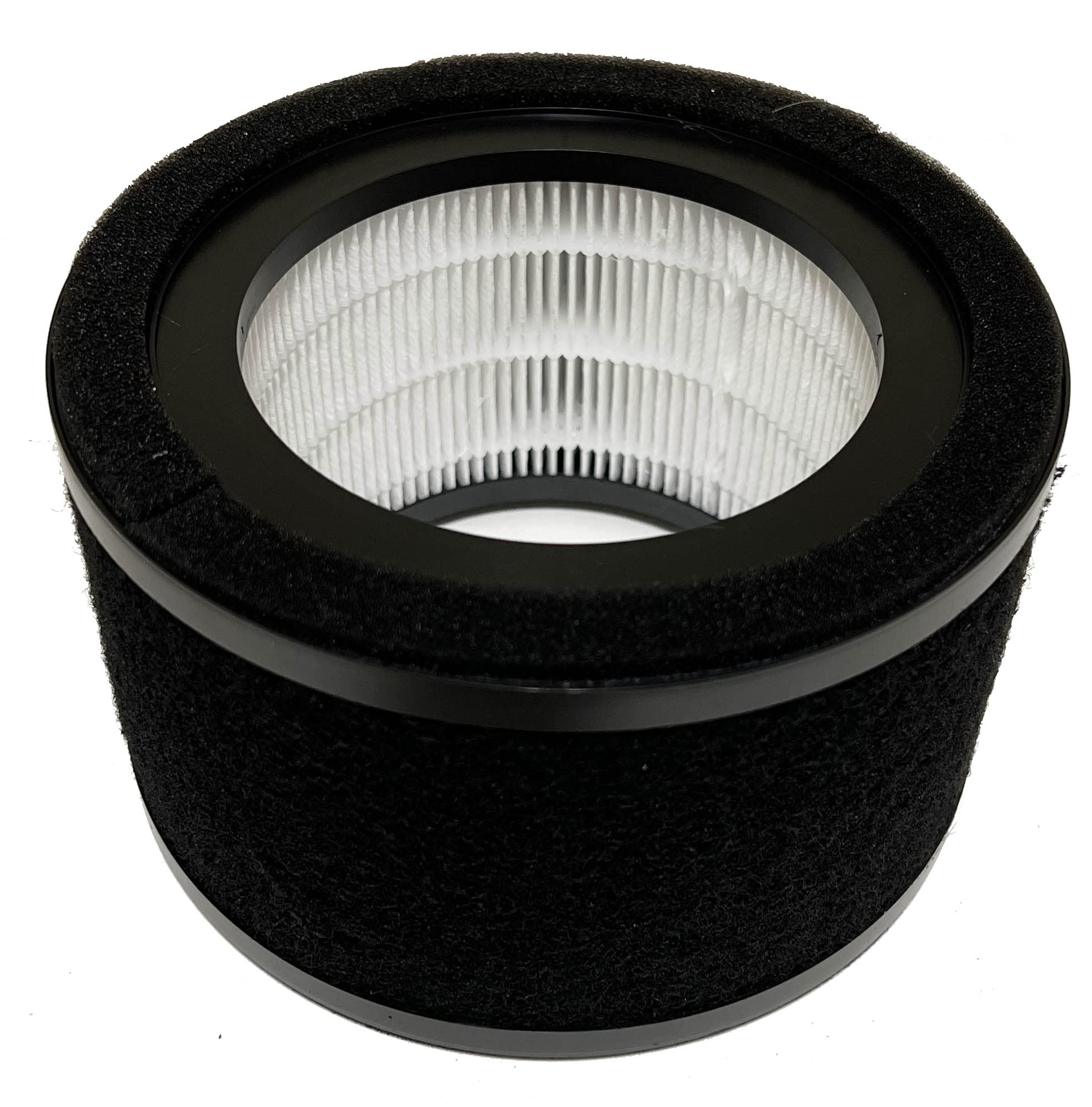 Nispira Replacement Filter L True HEPA + Activated Carbon Pre Filter Compatible with GermGuardian Air Purifier AC4200W FLT4200, 2 Packs