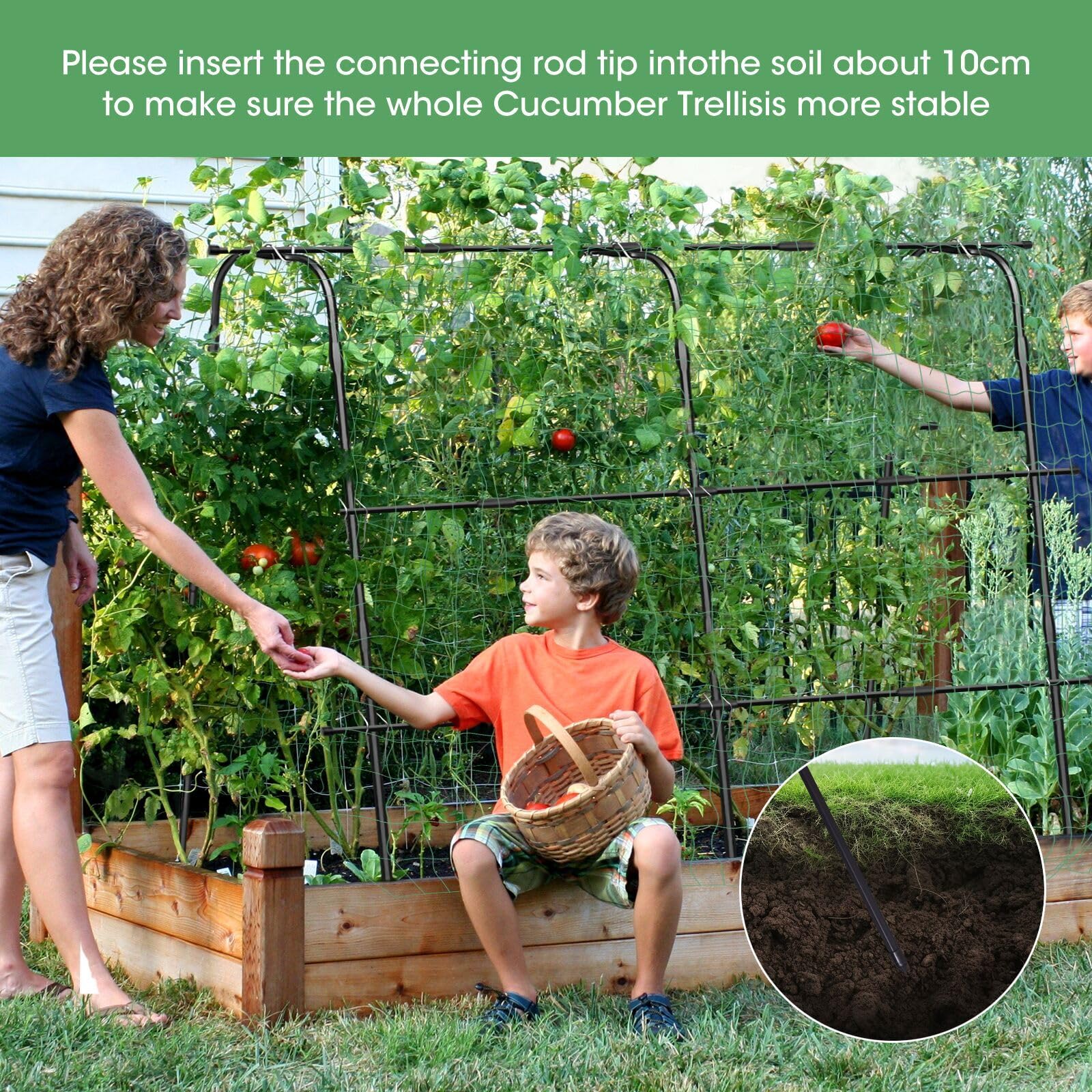 Cucumber Trellis for Garden Vegetable Trellis,63" x 63" U-Shaped Metal Garden Trellis Arch Plant Grow Support Frame for Climbing Plants Support Vegetable Flower Fruits Vine,with Nylon Netting(Black)