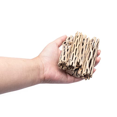 SubstrateSource Natural Cholla Wood Logs - Driftwood for Aquariums, Fish Tanks, Shrimp, Hermit Crabs, Reptiles - 4 and 6 Inch Pieces (4 Inch (3 Pack))