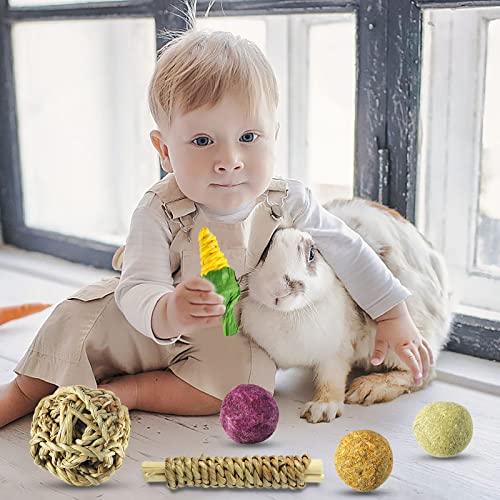 PD Bunny Chew Toys for Teeth, Natural Timothy Grass Small Animal Chew Toys, Mixed Grass and Molar Grass Cake and 2 Balls for Rabbits Chinchilla Hamsters Guinea Pigs Gerbils Groundhog Squirrels(14 pcs)