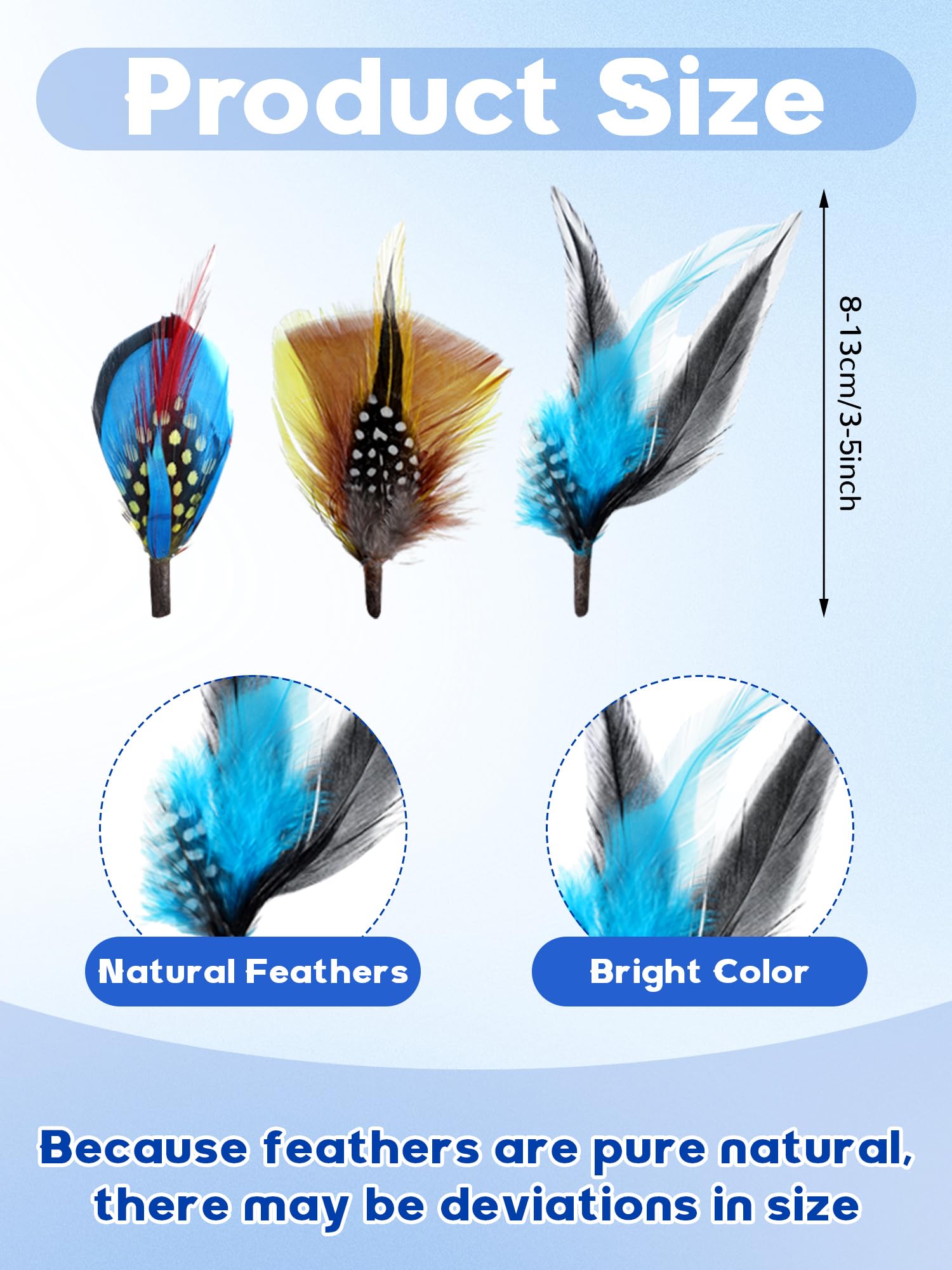 Breathffy 24 Pcs Stretchable Hat Bands Natural Assorted Hat Feathers Hat Ribbons for Panama Hat Western Costume Headwear (Classic)