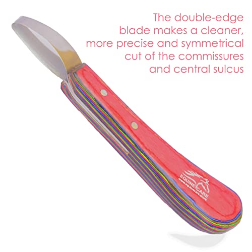 Equine Care Farrier Hoof Loop Knife - Sharp J2 Steel Blades with Comfortable Sheet Handle - Ideal for Farriers and Horse Owners