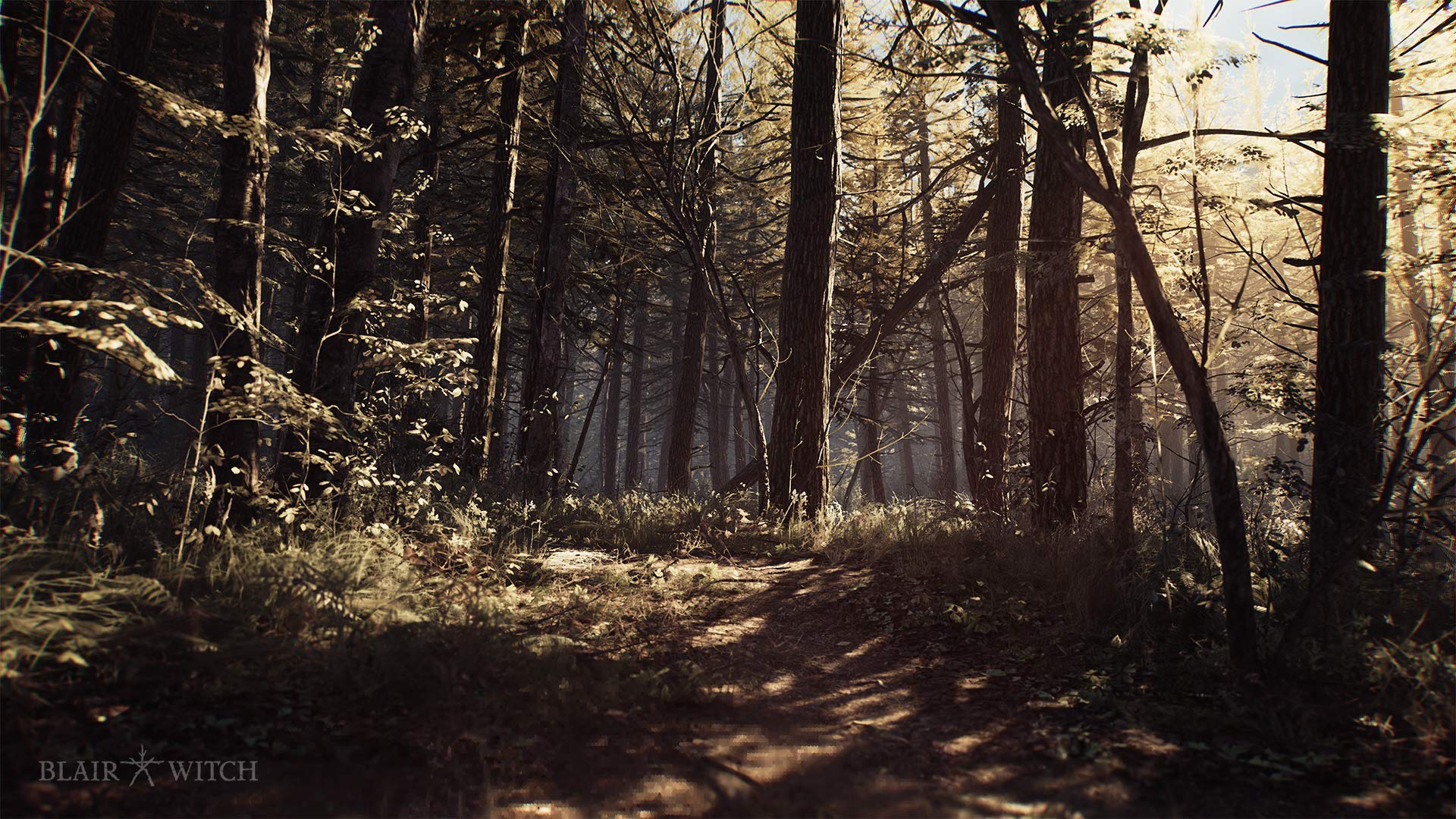 Blair Witch (Xbox One)