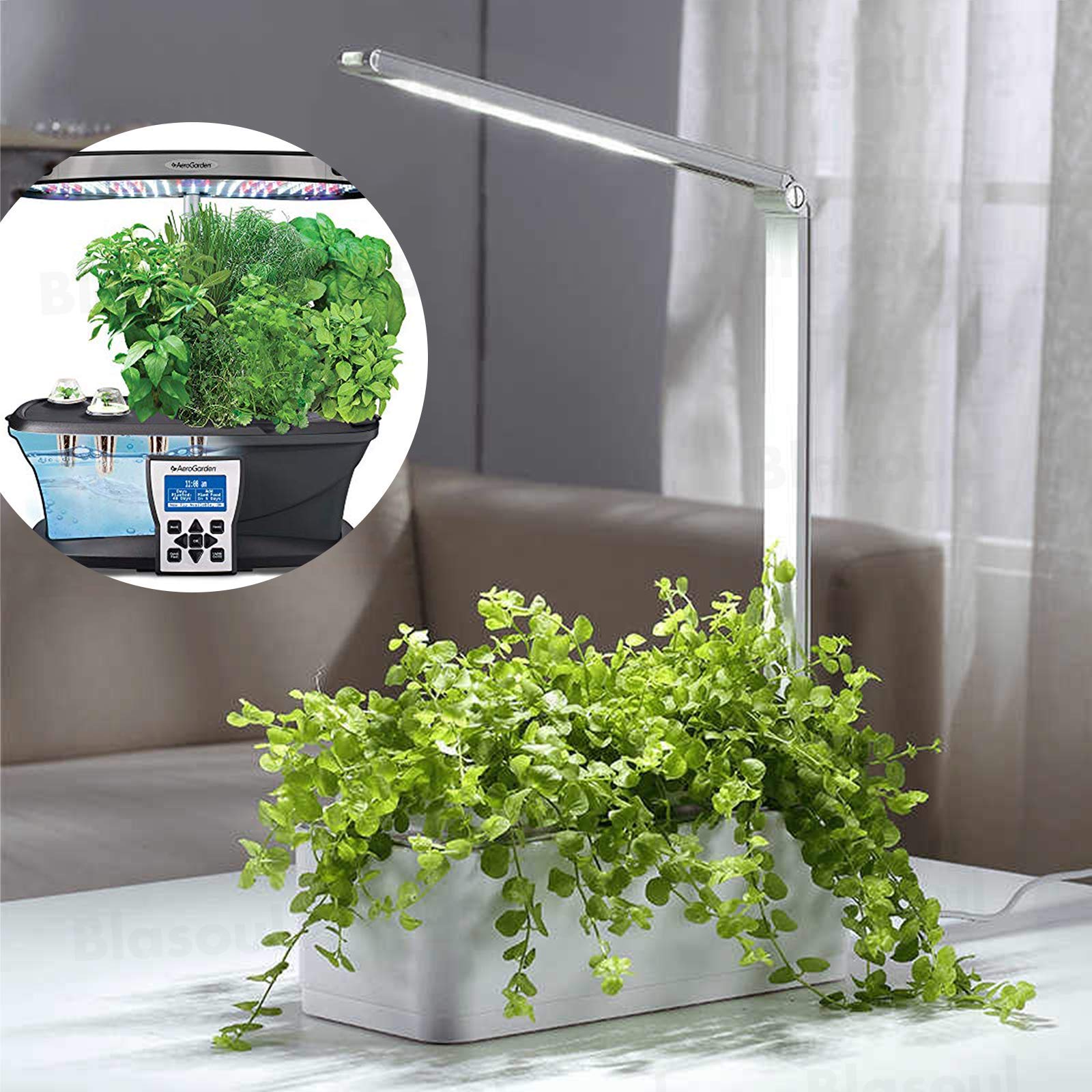 Blasoul Grow Basket - 50 Pack Plant Basket Pod Plastic Slotted Mesh Net Plant Cups Compatible with AeroGarden,Hydroponic,Growing System (50 Pack)