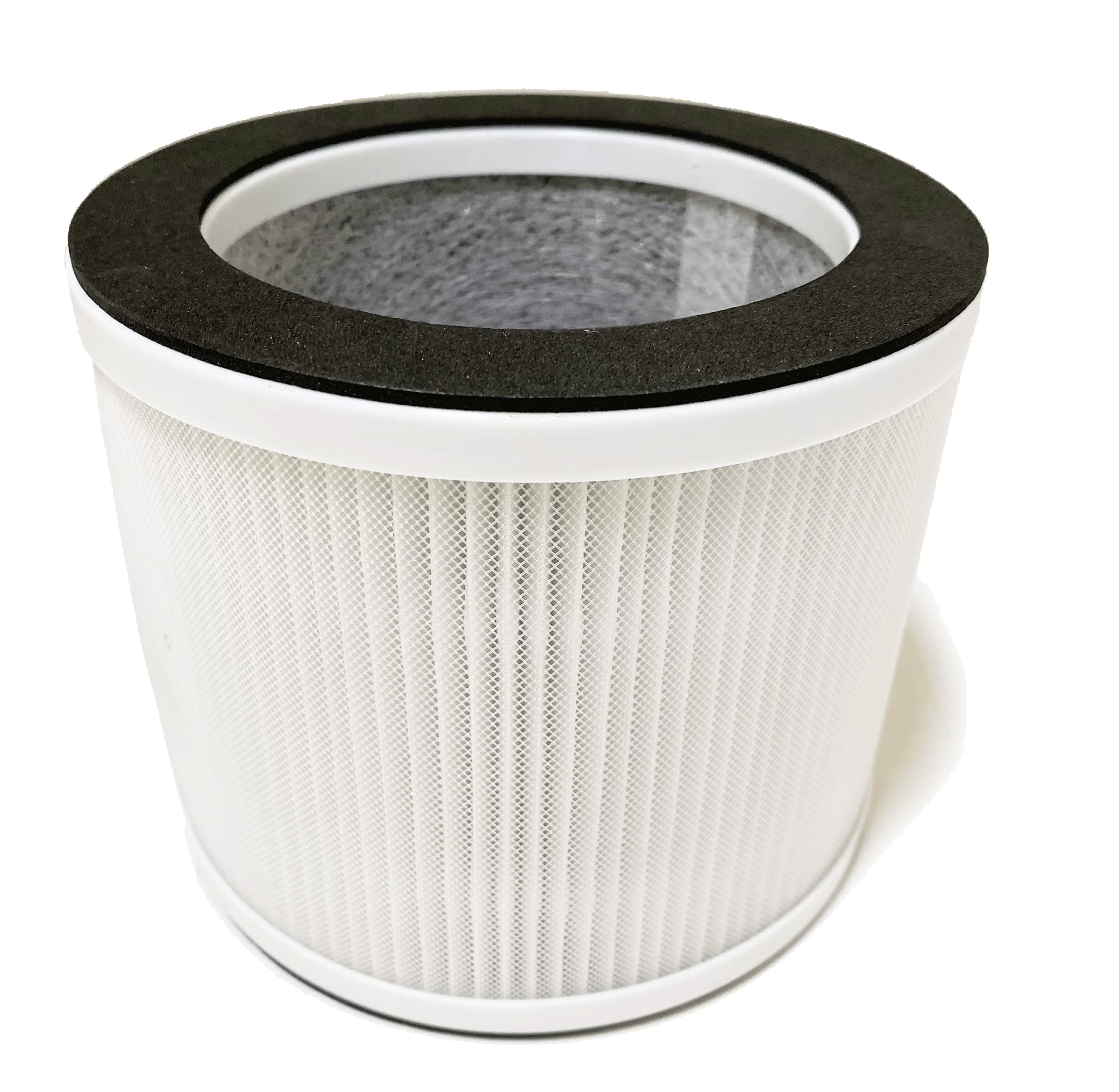 Nispira True HEPA Filter Replacement Compatible with Rigoglioso Air Purifier GL-2109 GL2109. 1 Pack
