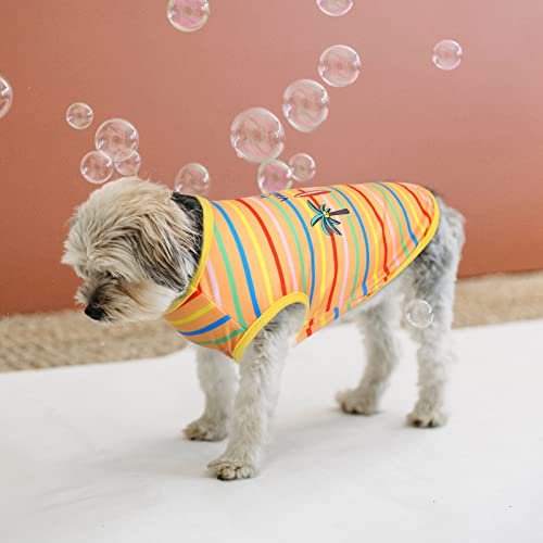 Phiyolin 2-Pack Dog Shirts Striped Stretch Dog T-Shirts for Small and Medium Dogs,Quick Dry Breathable Pet Clothes(M,Blue)