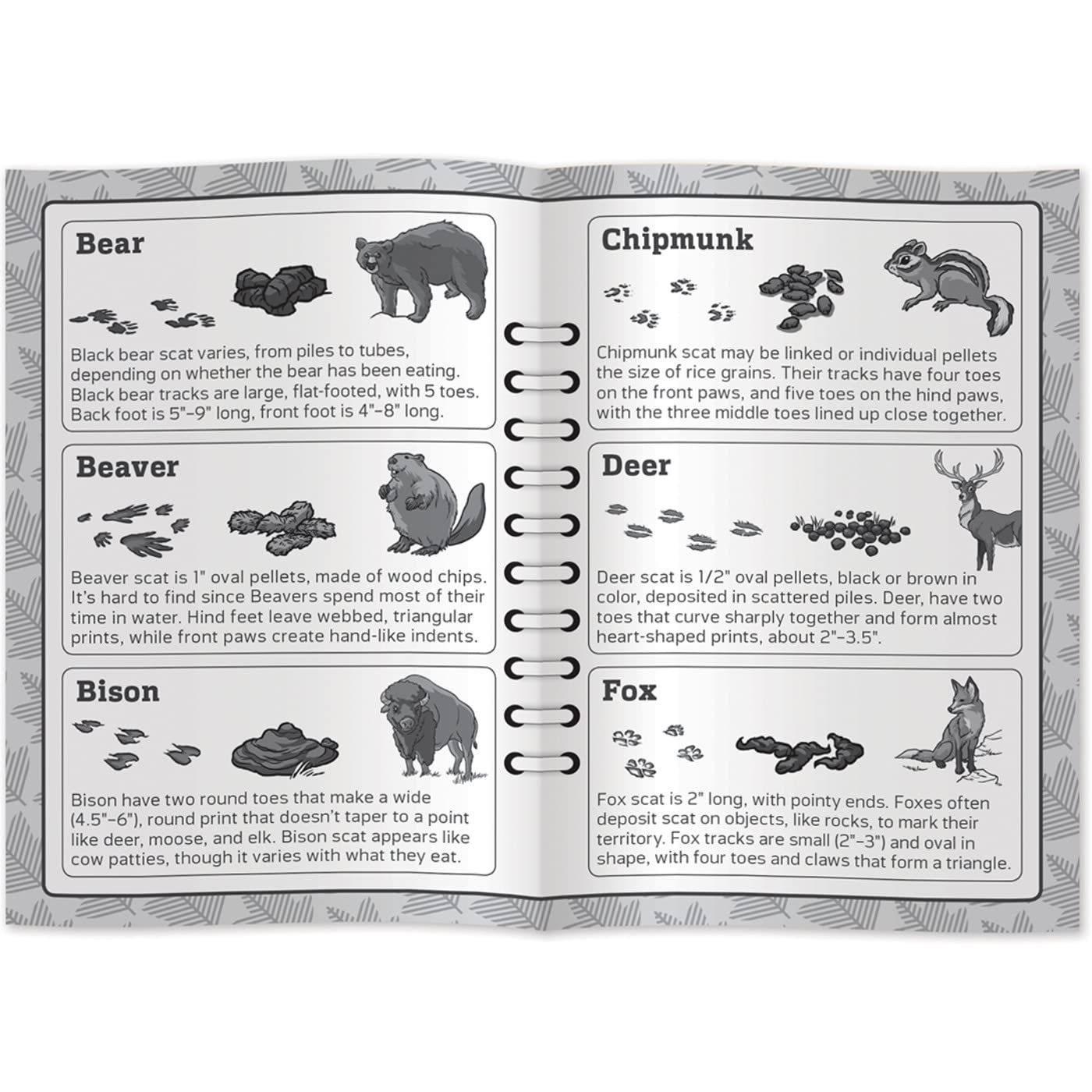 Masterpieces Jr Ranger Poop Tracks Card Game, Ages 6+, 2-6 Players, Medium