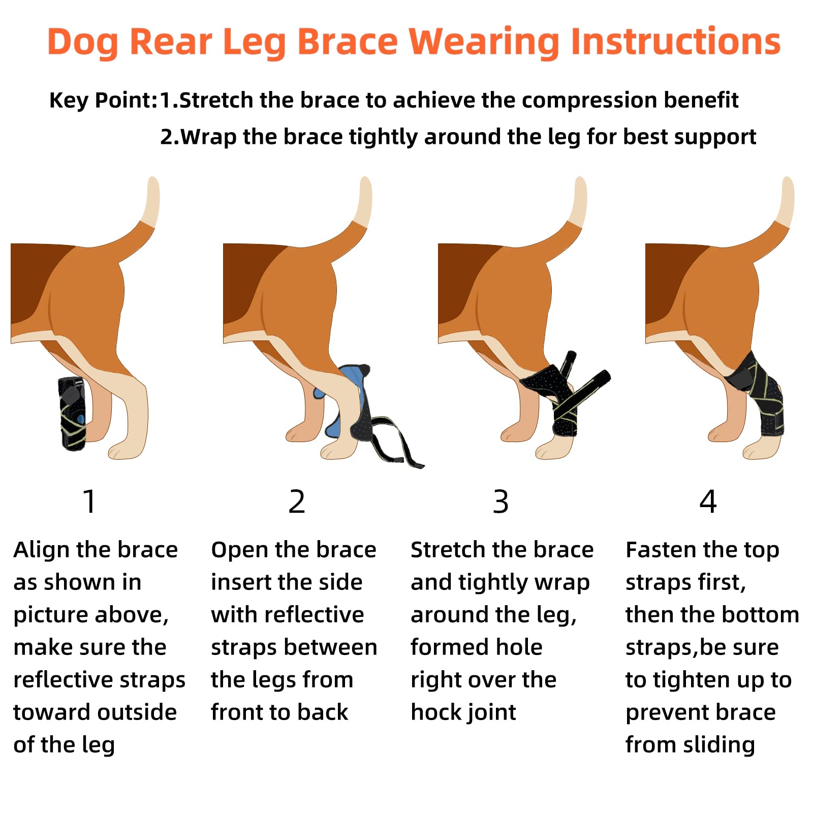 PETNEDO Dog Canine Rear Leg Hock Joint Brace for Medium and Large Dog, Compression Wrap with Straps & Metal Spring Strips Protects Wounds, Heals, Prevents Injuries and Sprains from Arthritis-S