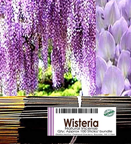 Natural Premium Incense By Oakland Gardens (W) Wisteria Incense - Intoxicating Sweet Fragrance of Wisteria Blooms with Lilac Flowers and Japanese Honeysuckle Wisteria (100 Sticks)