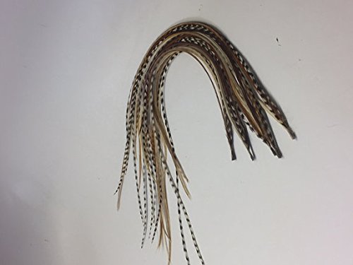 Natural Beige and Brown Feather Hair Extension β Ranging from 8 to 12 Inches, Seven Genuine Rooster Feathers Bonded Together, Includes Two Silicone Micro Beads