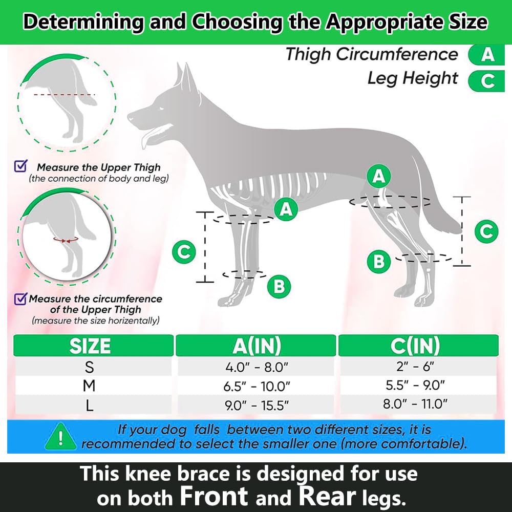Premium Dog ACL Knee Brace for Torn ACL Hind Leg Support - Cruciate Care & Recovery, Adjustable Leg Braces for Back Leg, Hip Support - Small, Medium, Large Sizes with Extra Stabilizers (Black, M)