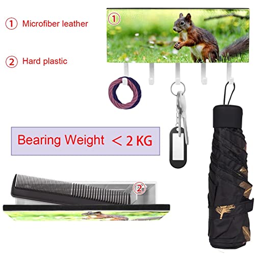 Cute Squirrel Mail Holder Organizer and Key Hooks PU Front, Self Adhesive Key Rack with 5 Hooks Perfect for Entryway, Hallway,Bathroom ,Kitchen