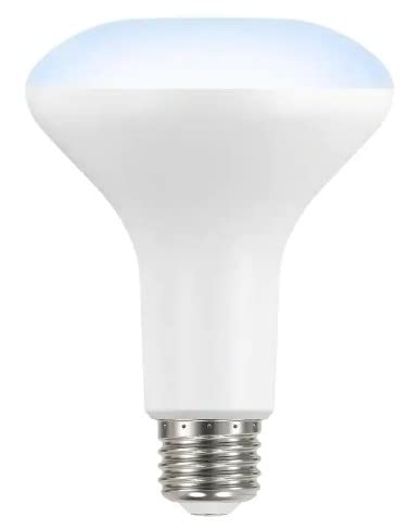 LED TECHNOLOGY EcoSmart 65-Watt Equivalent BR30 Dimmable LED Light Bulb Daylight (12-Pack)