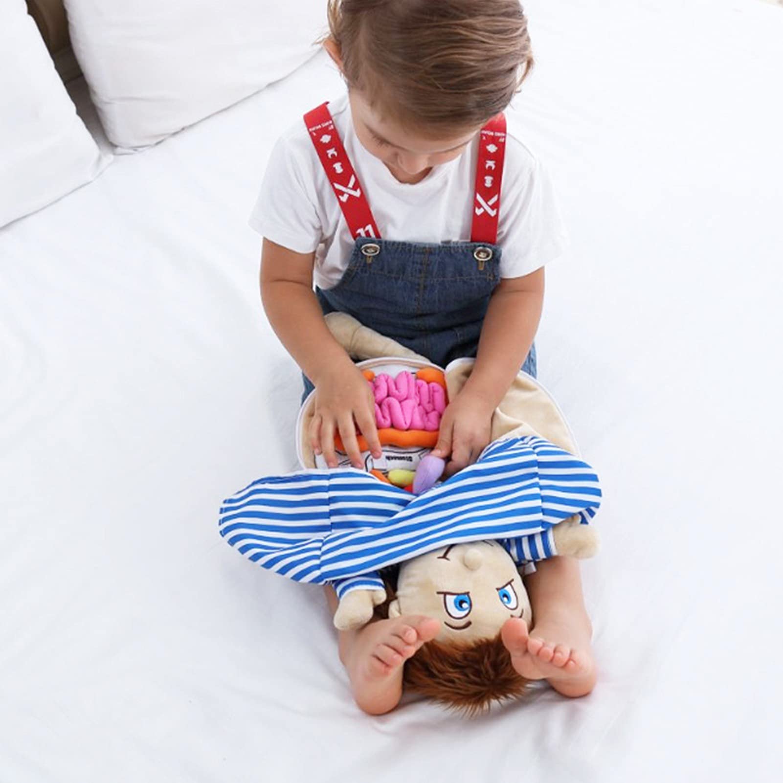 Organ Toy for Kids, Human Body Anatomy Awareness Teaching Tools, Preschool Educational Organ Plush Toys, Science Learning Kits for Home School Teaching Aids (Organ Toys)