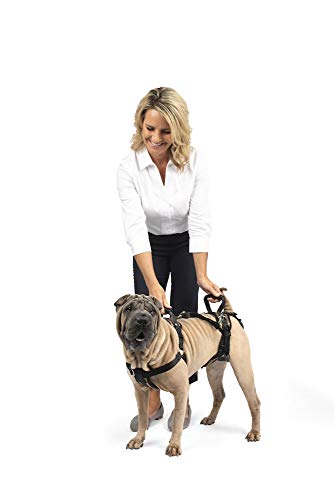 PetSafe CareLift Support Harness - Full Body Dog Lift Harness with Handle & Shoulder Sling - Great for Elderly Dogs, Hip Dysplasia, ACL Surgery - Designed to Help Them Up - Adjustable - Large