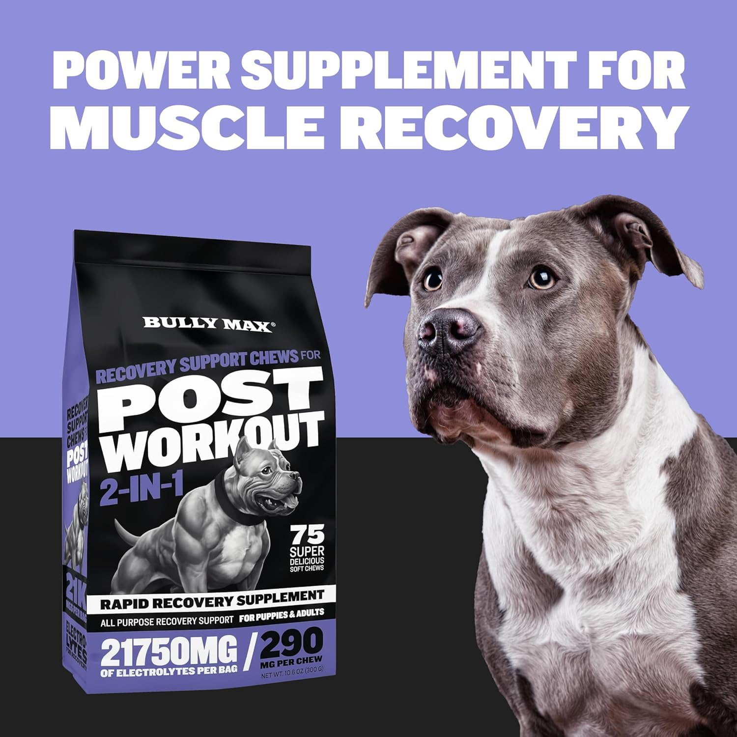 Bully Max 2-in-1 Post-Workout Recovery Support Chews - Dog Vitamins for Small & Large Breeds - Puppy and Adult Dog Hydration & Electrolyte Replenishment - 3 Packs, 75 Chews per Pack