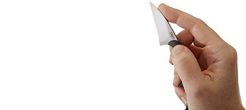 COLUMBIA RIVER KNIFE & TOOL CRKT Minimalist Wharncliffe Neck Knife: Compact Fixed Blade Knife, Folts Utility Knife, Bead Blast Blade, Resin Infused Fiber Handle, and Sheath 2385