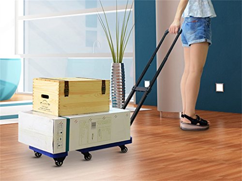 BJL-Hang Truck Trolley Van Mini Trailer Hand Truck Small Cart Pull The Truck Folding Portable Trolley Household Microtake OYO (Color : D)