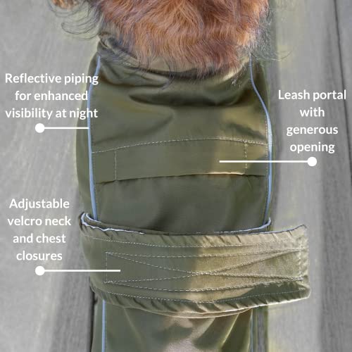 DJANGO City Slicker All-Weather Dog Jacket & Water-Repellent Raincoat with Reflective Piping (Medium, Kombu Green)