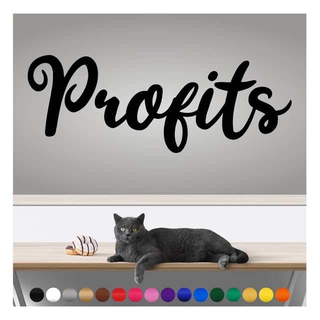 Transform Your Walls with Professional Grade, Outdoor Weatherproof Vinyl Stickers - Happy Sunday - UV Resistant, Made in The USA! Inspirational Words: Profits: 14 Inch, Satin Silver
